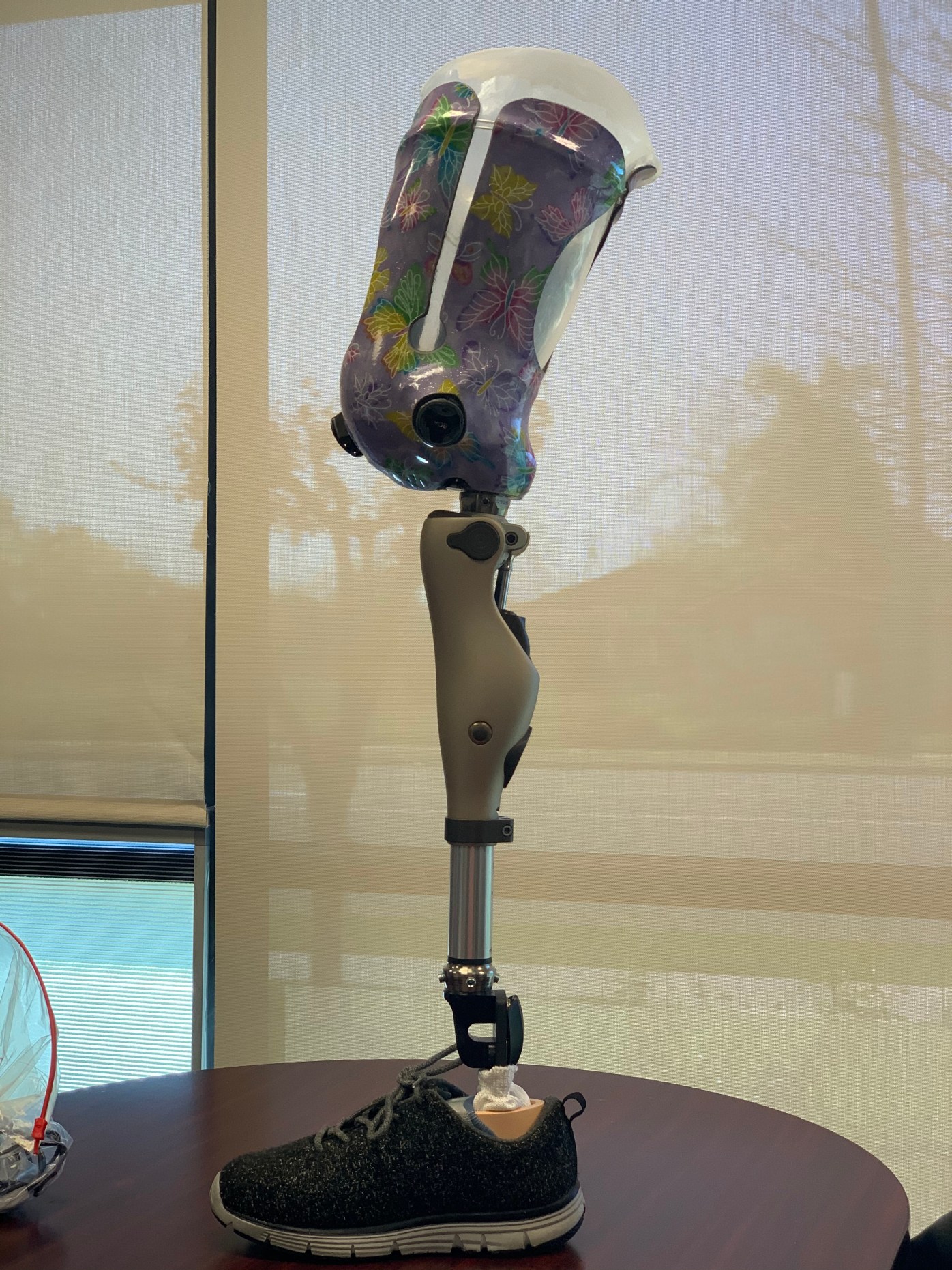 Services – Glacier Point Prosthetics